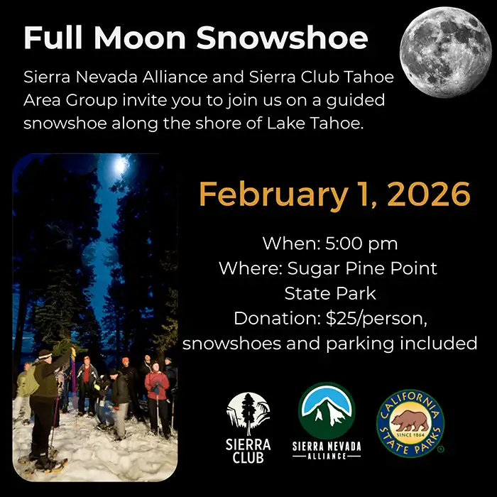 Full Moon Snowshoe Tour - Sugar Pine Point State Park - Visit Lake Tahoe