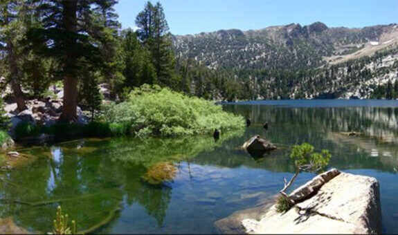 Star Lake Trail - Visit Lake Tahoe