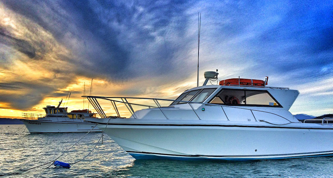 🎣 Lake Tahoe Fishing & What To Expect