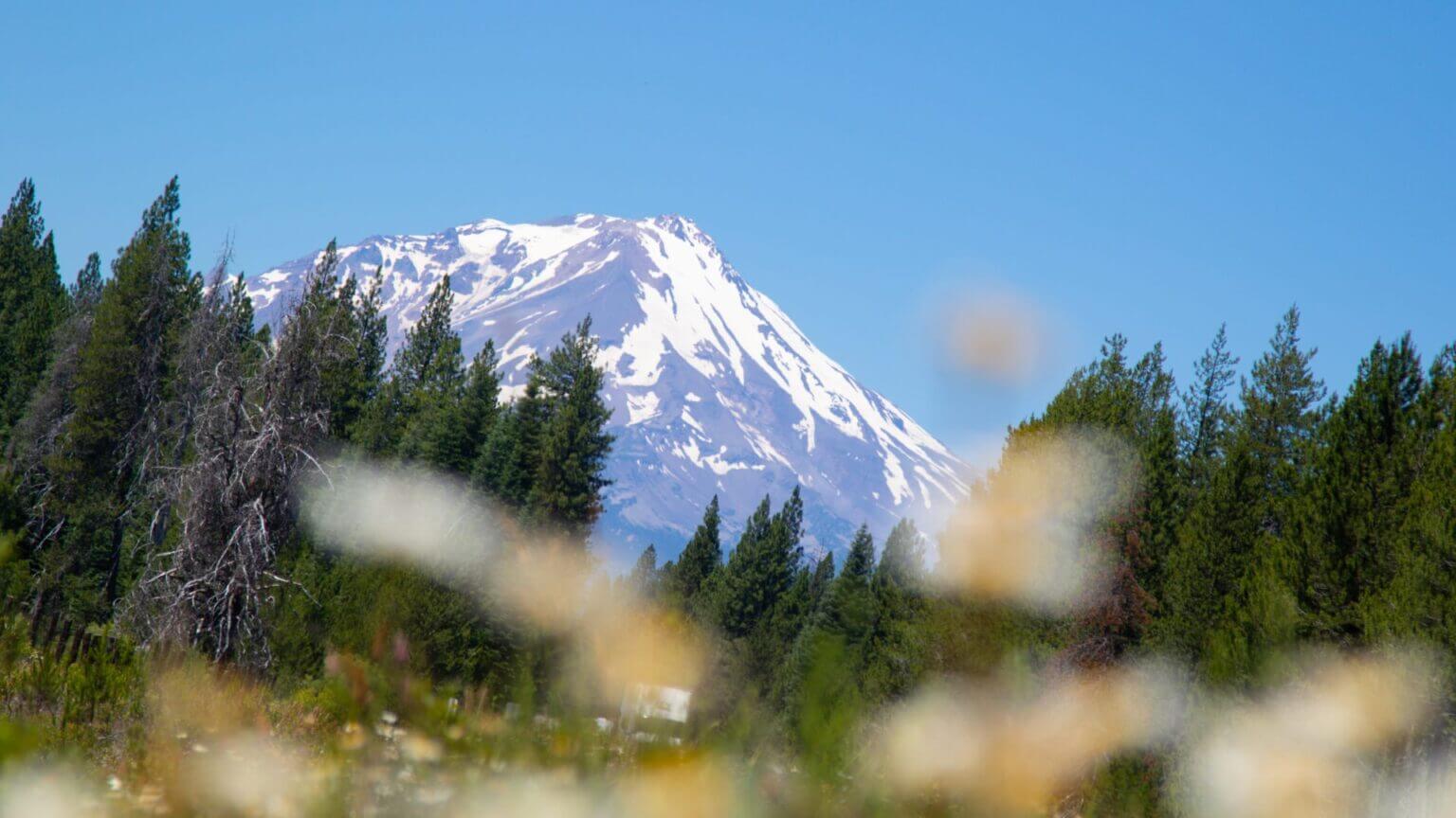 California Road Trip Ideas | Upstate California Road Trip