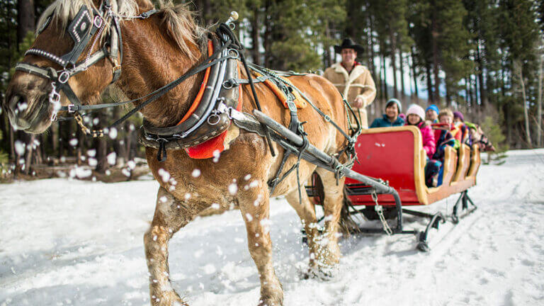 10 Things to do in December at Lake Tahoe - Visit Lake Tahoe