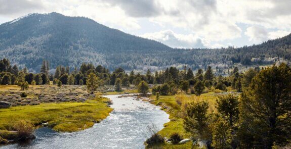 A Beacon of Hope in History - Hope Valley - Visit Lake Tahoe