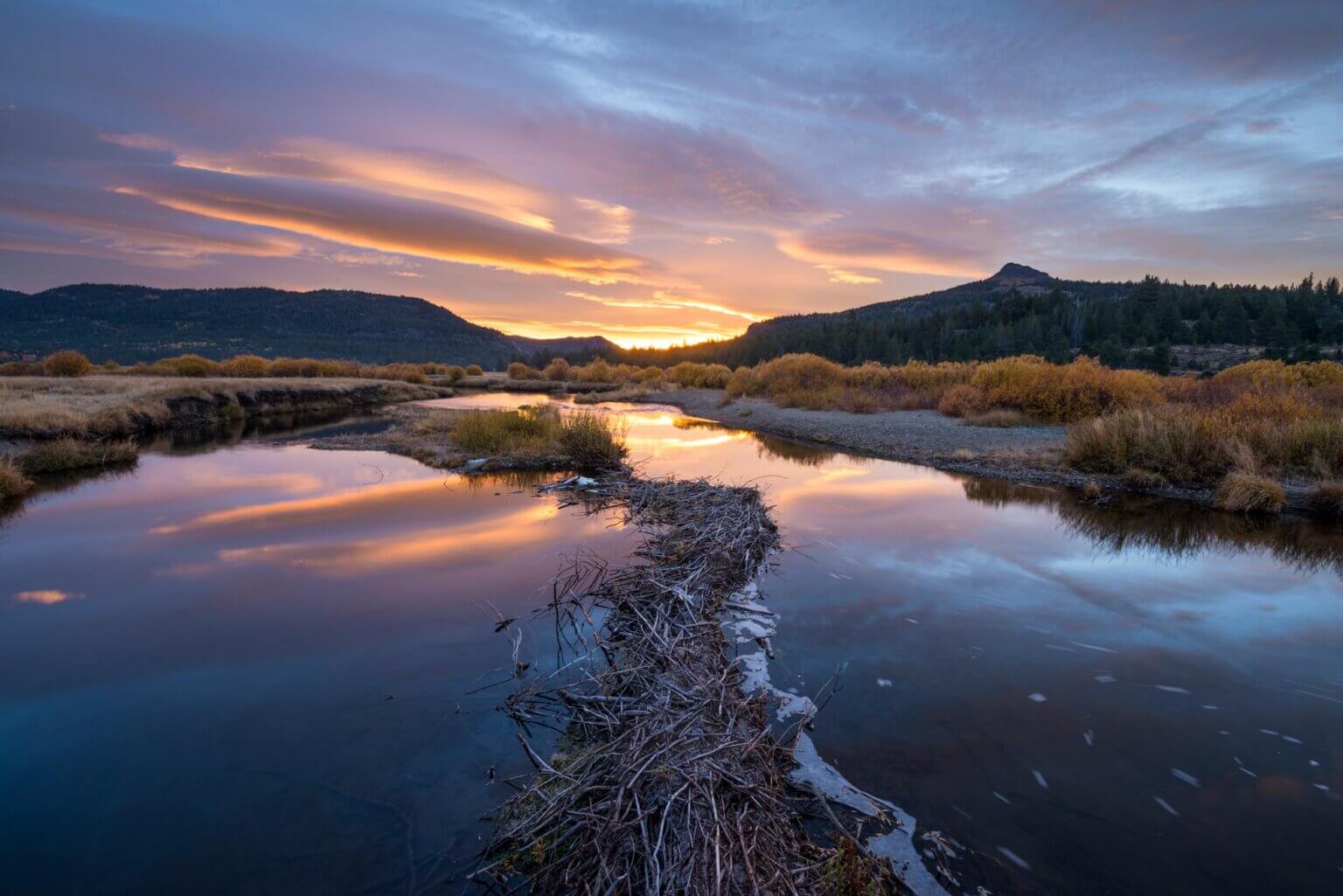 A Beacon of Hope in History - Hope Valley - Visit Lake Tahoe