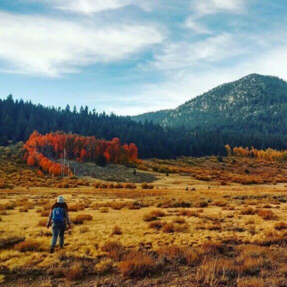 A Beacon of Hope in History - Hope Valley - Visit Lake Tahoe