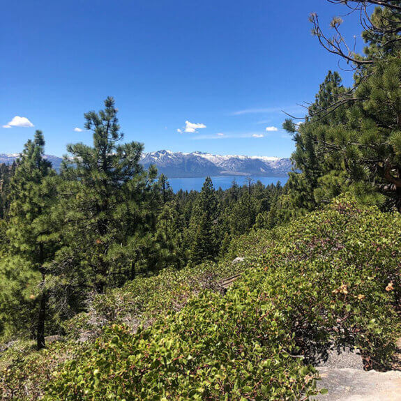 Spring is Immaculate in Lake Tahoe