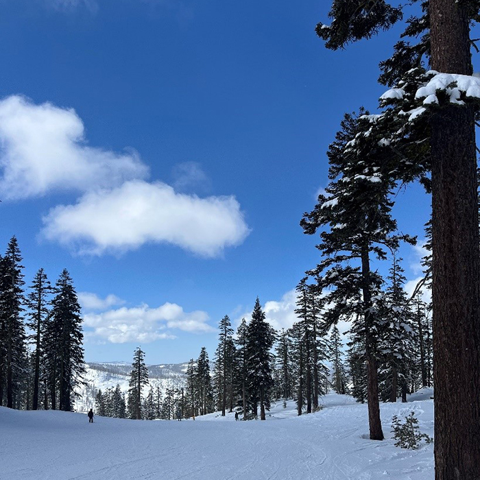 Tahoe's Trust in "Miracle March" Rewarded Once Again - Visit Lake Tahoe